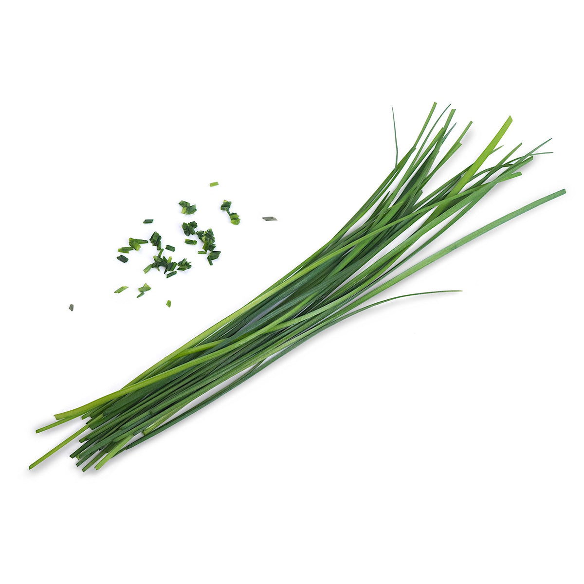 Chinese Chives Lingot® – Véritable SAS