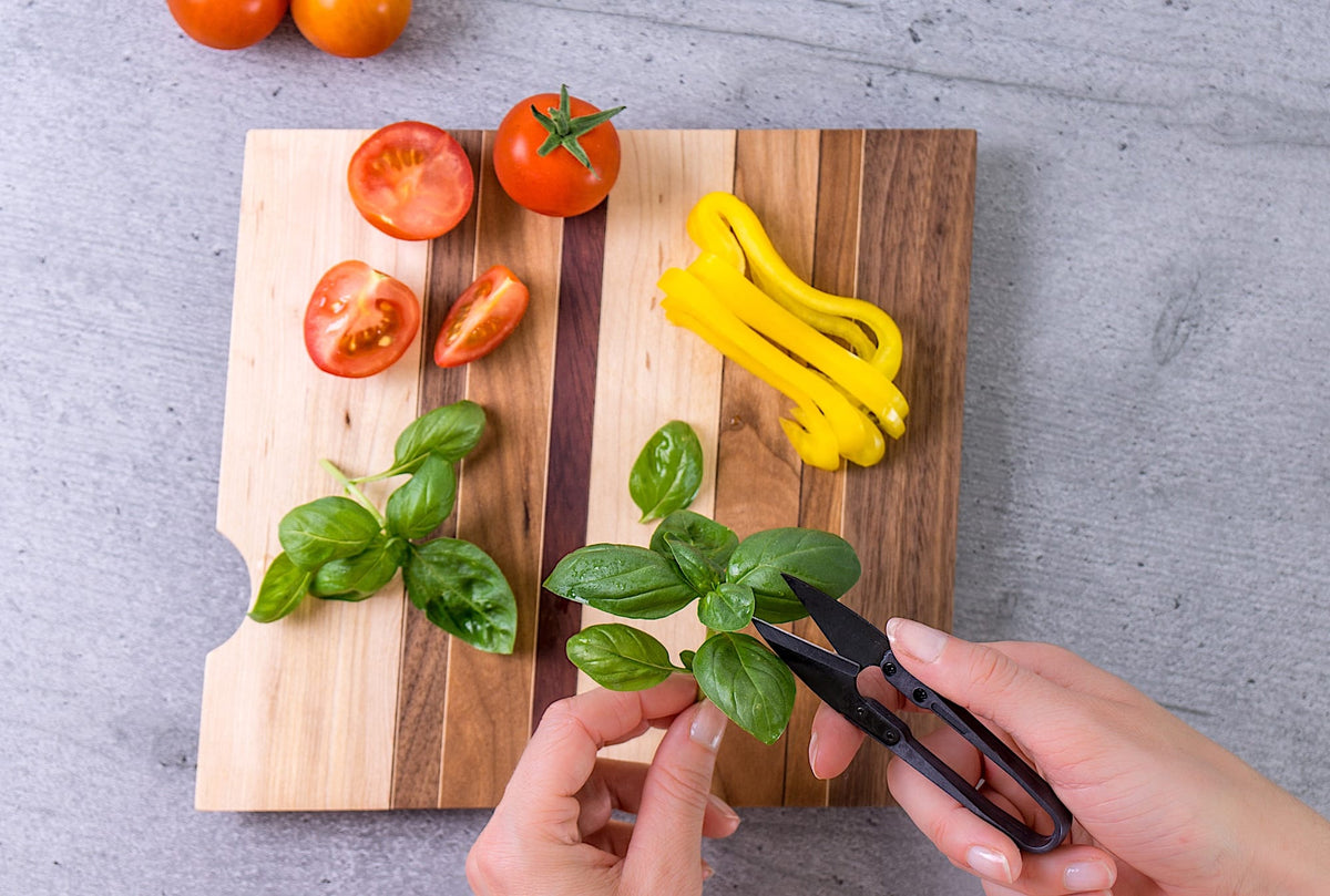 Véritable® Mini-Snips – Véritable SAS